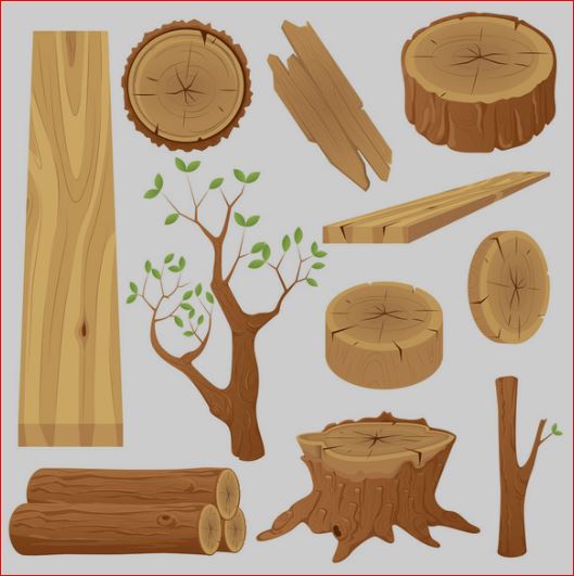 Introduction to Wood - The Woodworkers Club